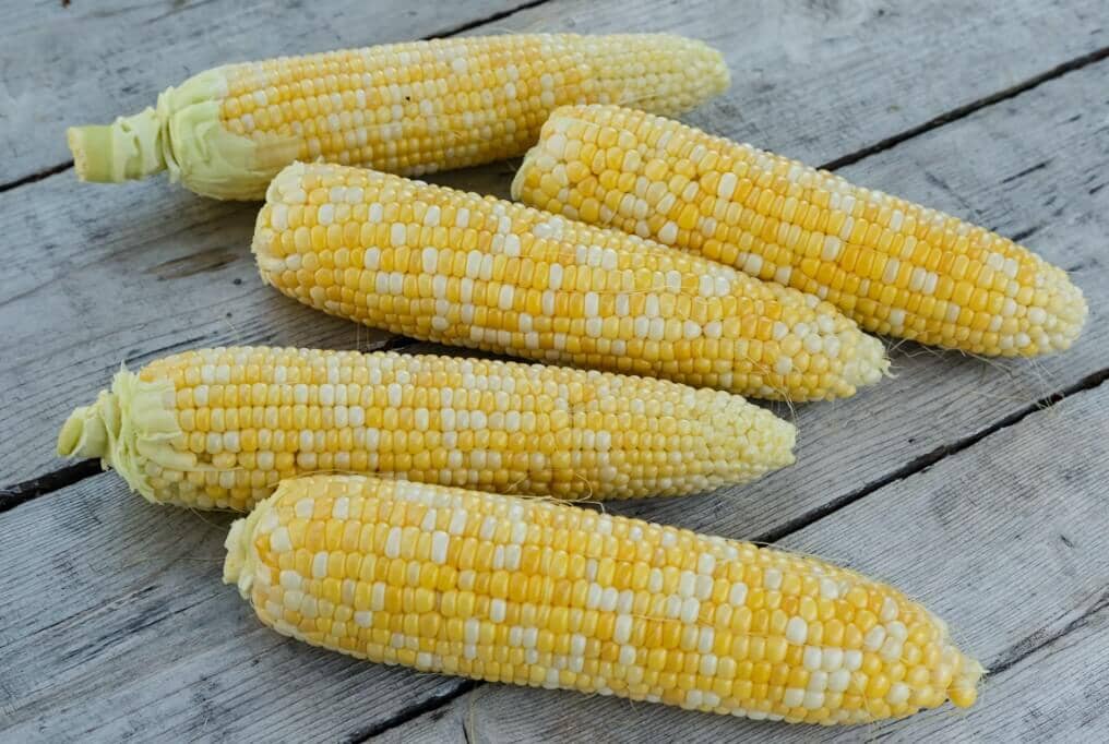 Corn, Sweet Funks G90 1/2 # – Steglich Feed & Farm Supply